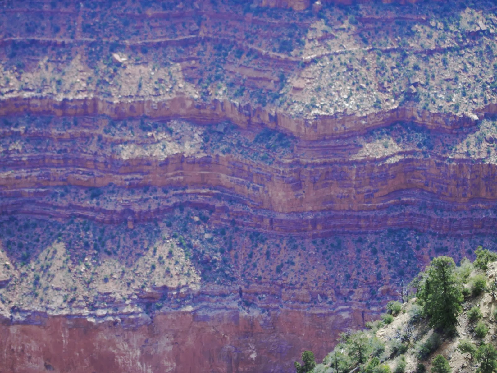 The Traveling Mandolin: Grand Canyon Strata, Arizona