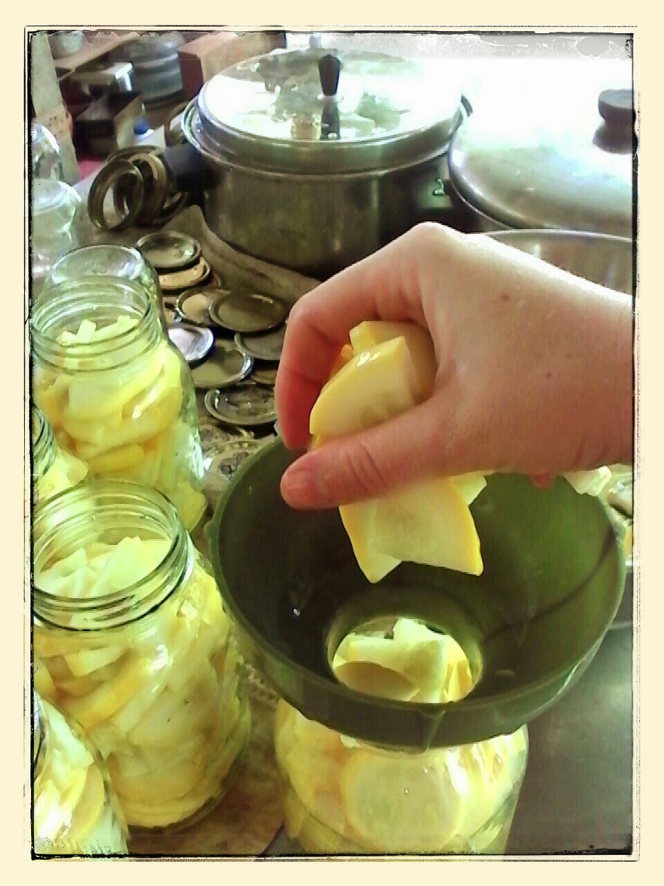 Home-Made-Home: Canning Summer Squash.