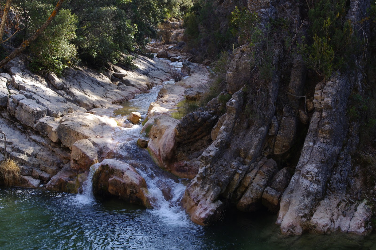 Los Tejos Milenarios: Anticlinal y sinclinal