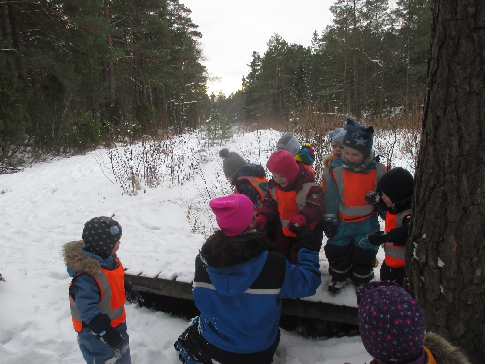 Grasmyr naturbarnehage: Haremann og eventyret om Skinnvotten :)