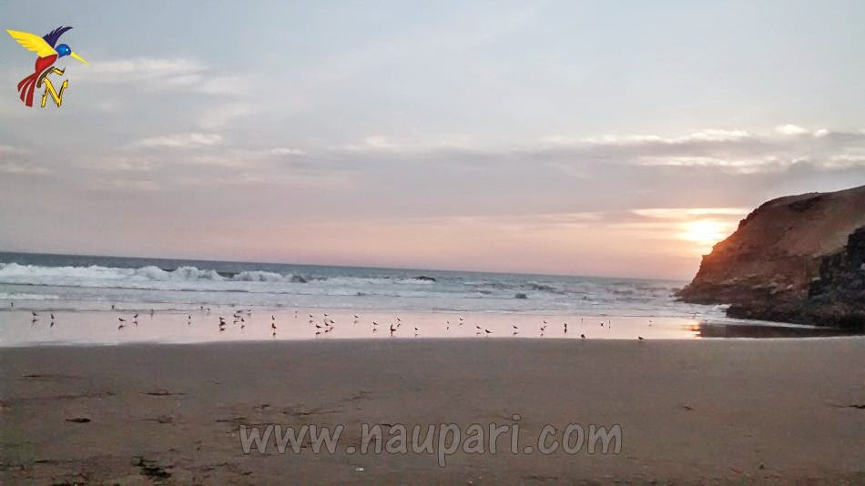 Playa Hornillos de Huacho ~ HUACHO . biz