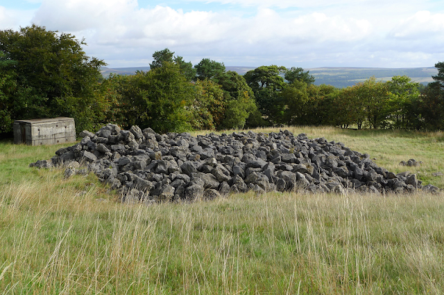 Mines and minerals in Derbyshire (UK): Ladywash Mine