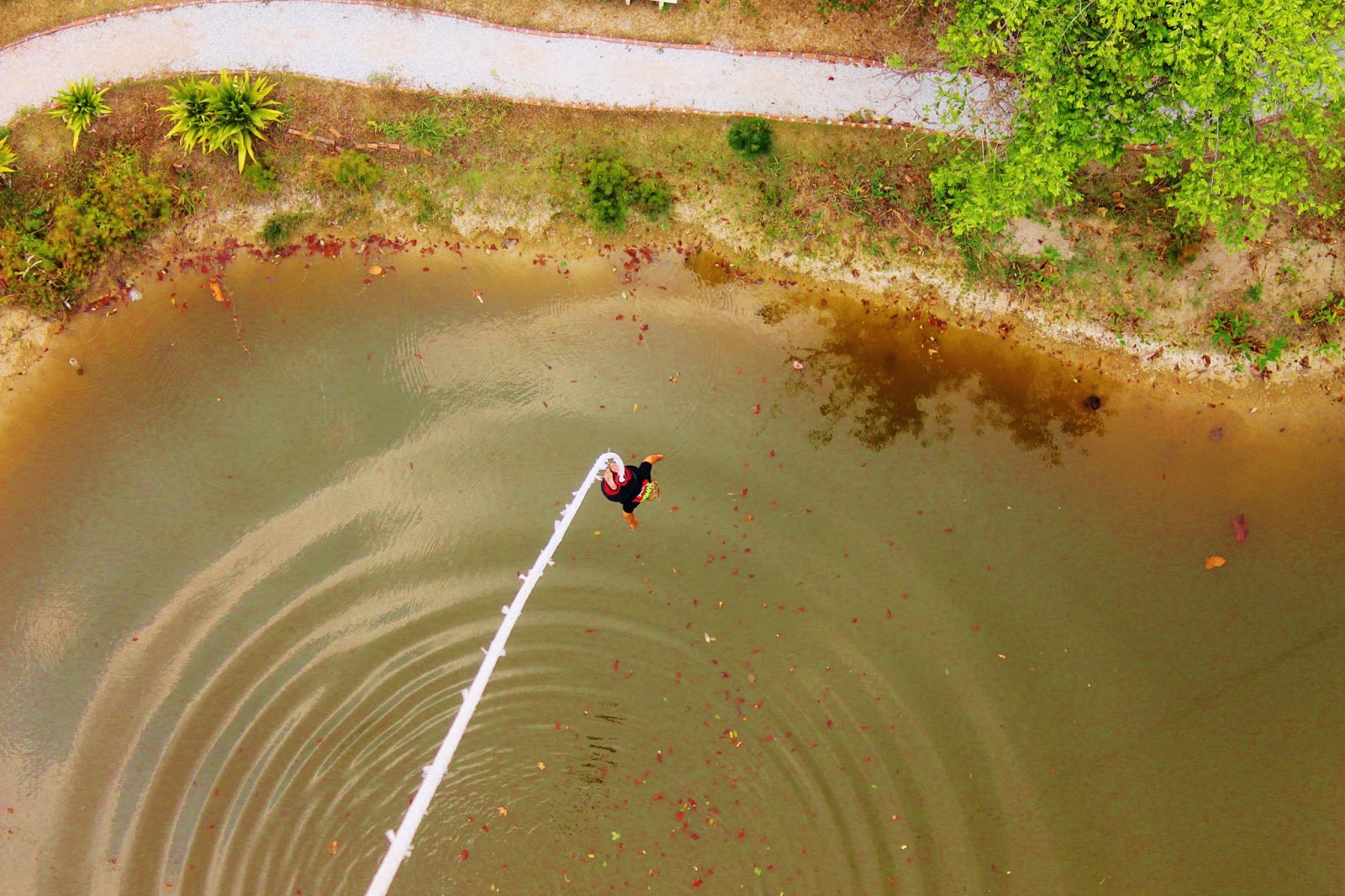 Wander: Bungee Jumping and a day with the Elephants!