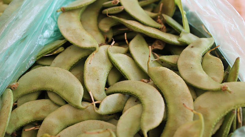 Maatla Oondhiyo - Ribbons to Pastas