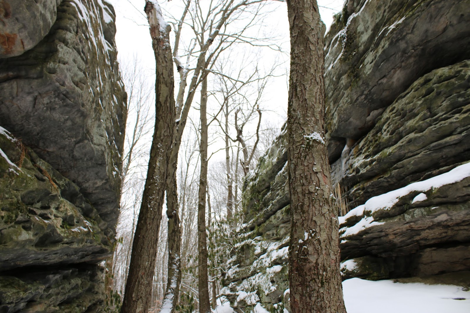 Panther Rocks, Moshannon State Forest near SB Elliott State Park ...