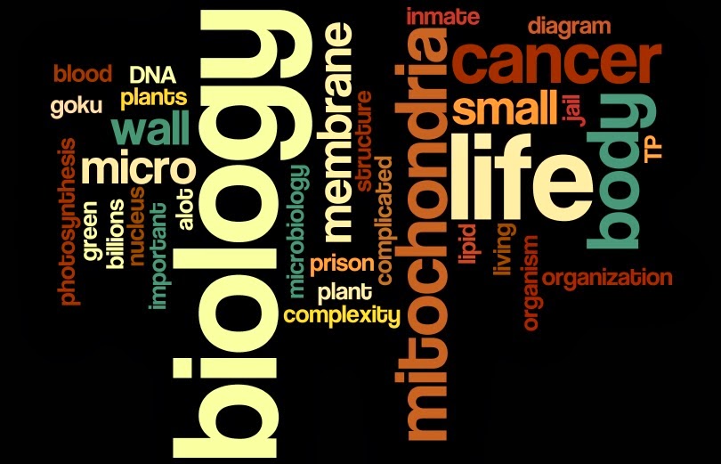 All Creatures Great AND Small: Preaching Microbial Centrism!: February 2014