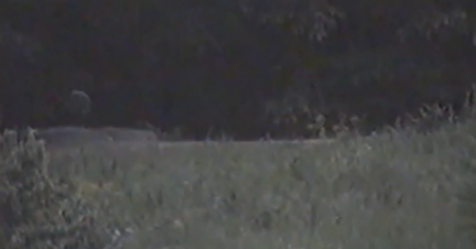 Best Ghost Video of All Time? ~ The Crypto Crew