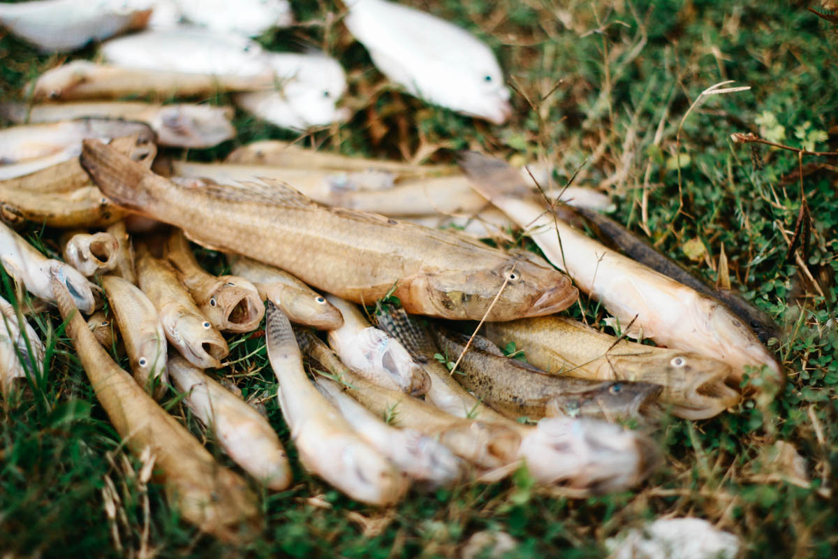 qidr.an ©: fishing | Pulau Tiga & Semeling