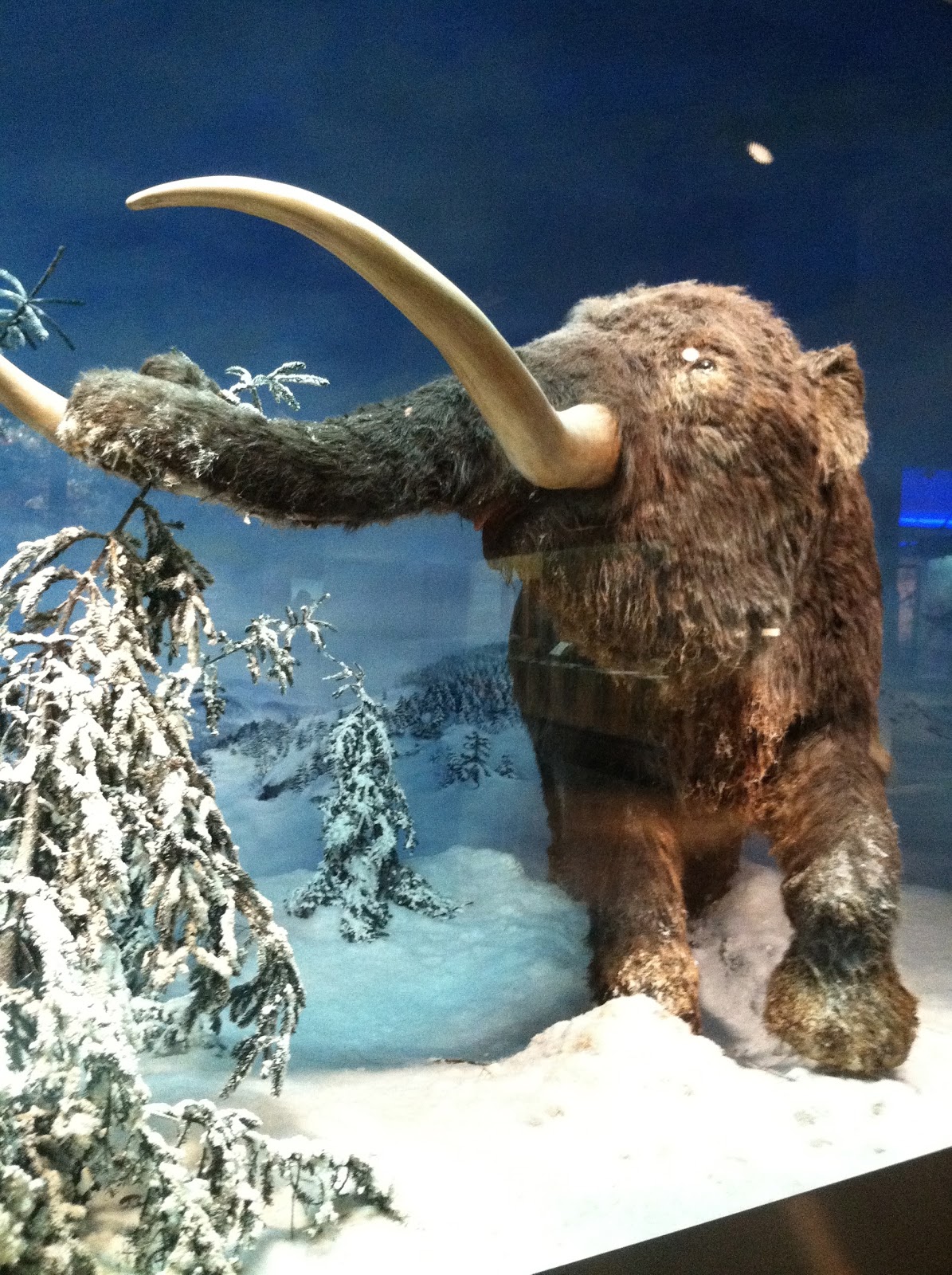 50 & Fabulous: Going to Foxwoods, (well actually the Pequot Museum)