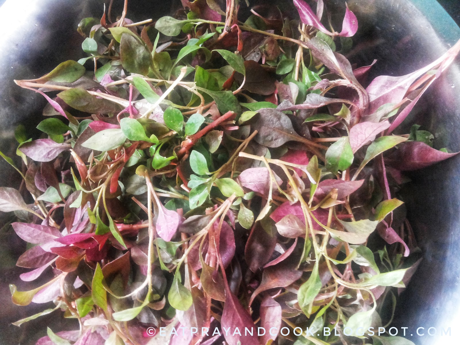 Eat Pray and Cook: Ponnaanganni Keerai Poriyal - Country Food