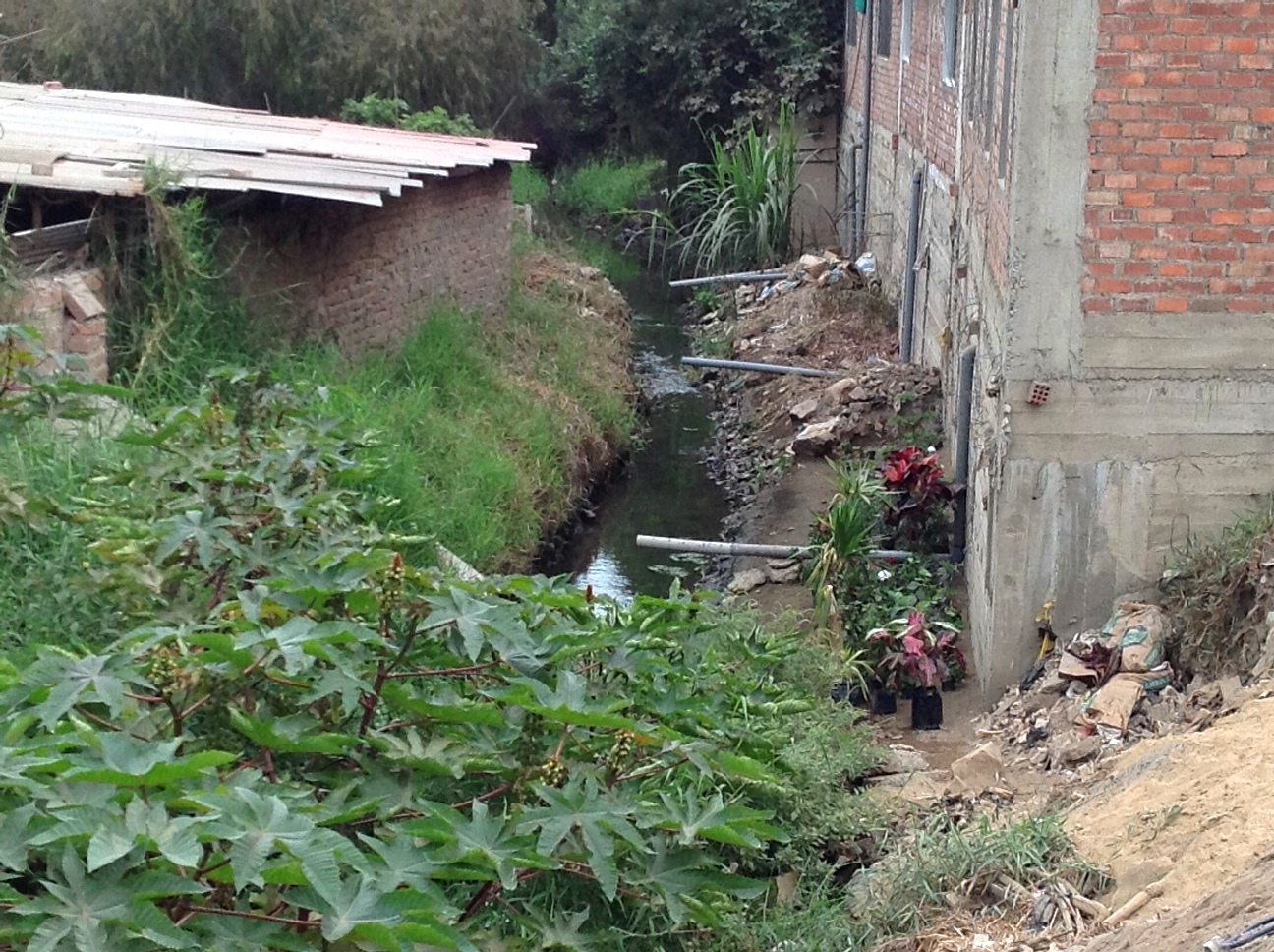 Desde el río hasta el mar: la ruta milenaria del canal Surco