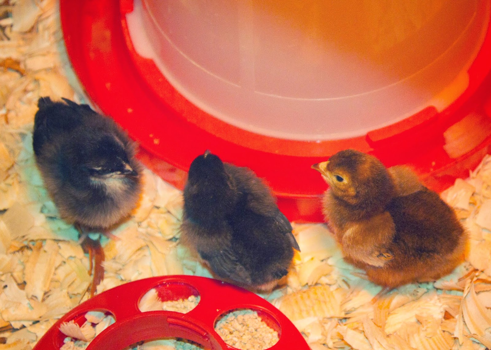 The Cheese Party: April 2014