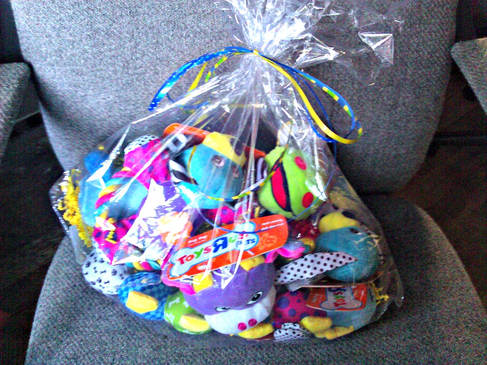 New Toys R Us Pets Dog Toys at PetSmart Review & Giveaway - Springing ...