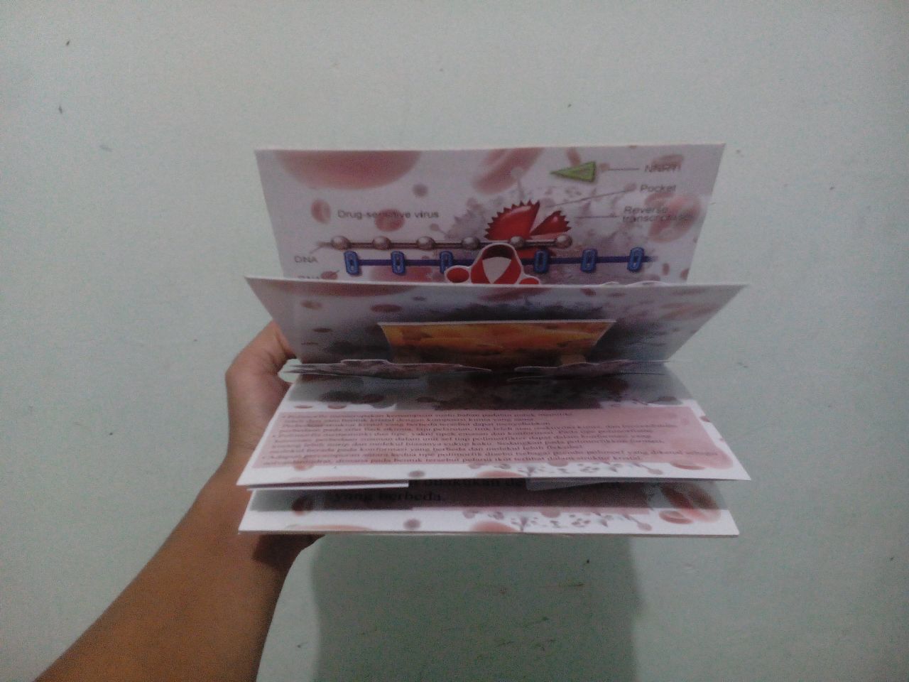 Jasa Pembuatan Pop Up Book Tugas Jogja Jasa Pembuatan Pop Up Book Tugas Jogja