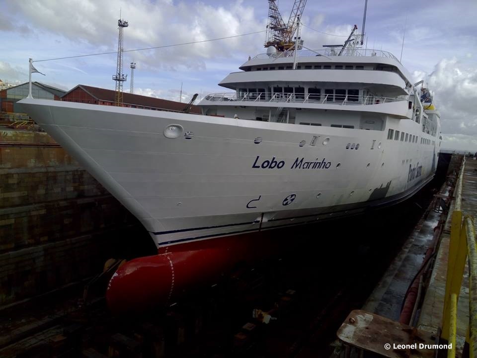 O Mar do Porto Santo: Lobo Marinho, intervenção nas obras vivas