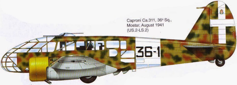 Italian Aircraft of WWII: Caproni Bergamaschi Ca 310 series