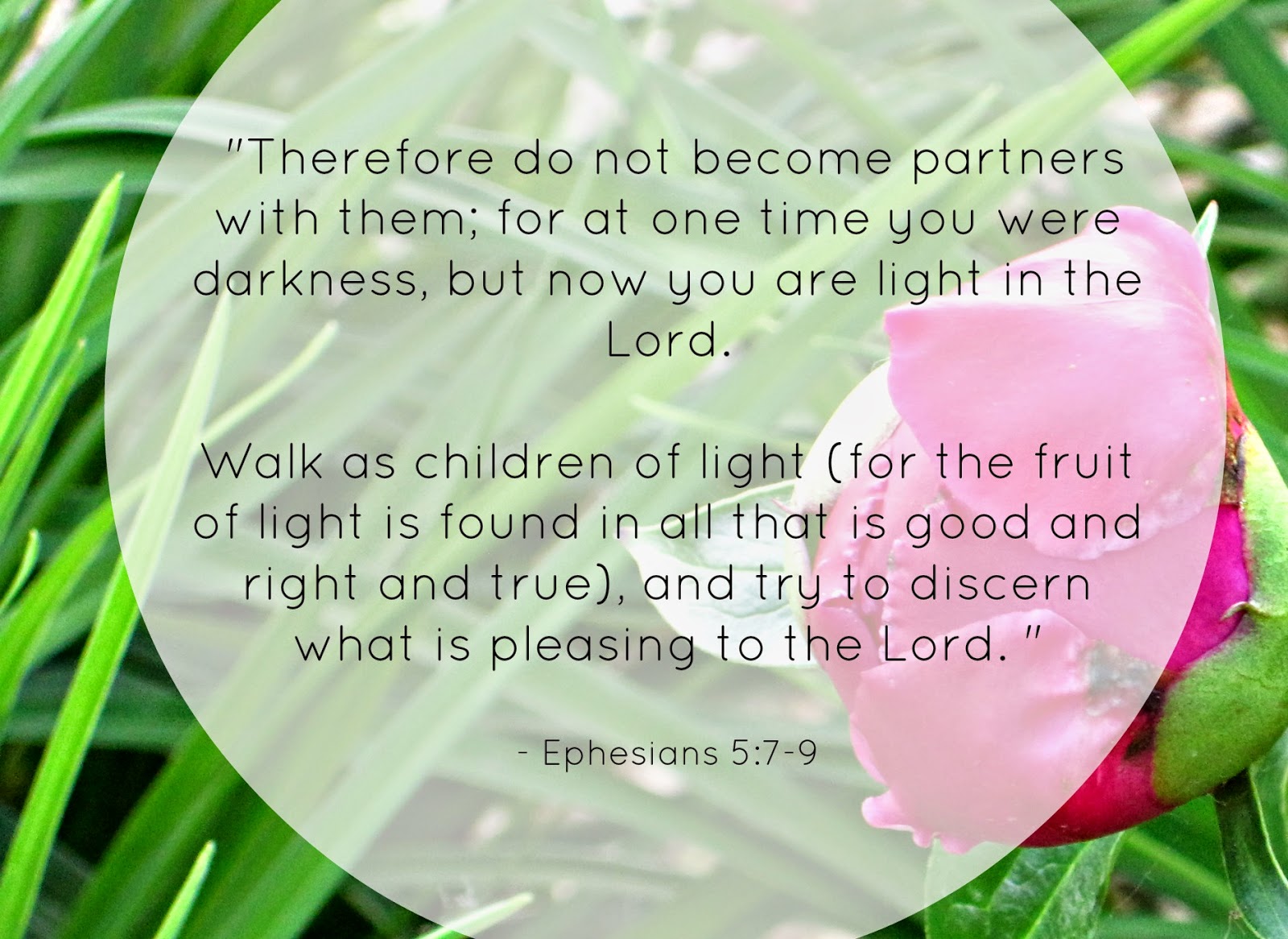A Little Wife's Happy Life: The Light of Your Life Makes a Difference ...