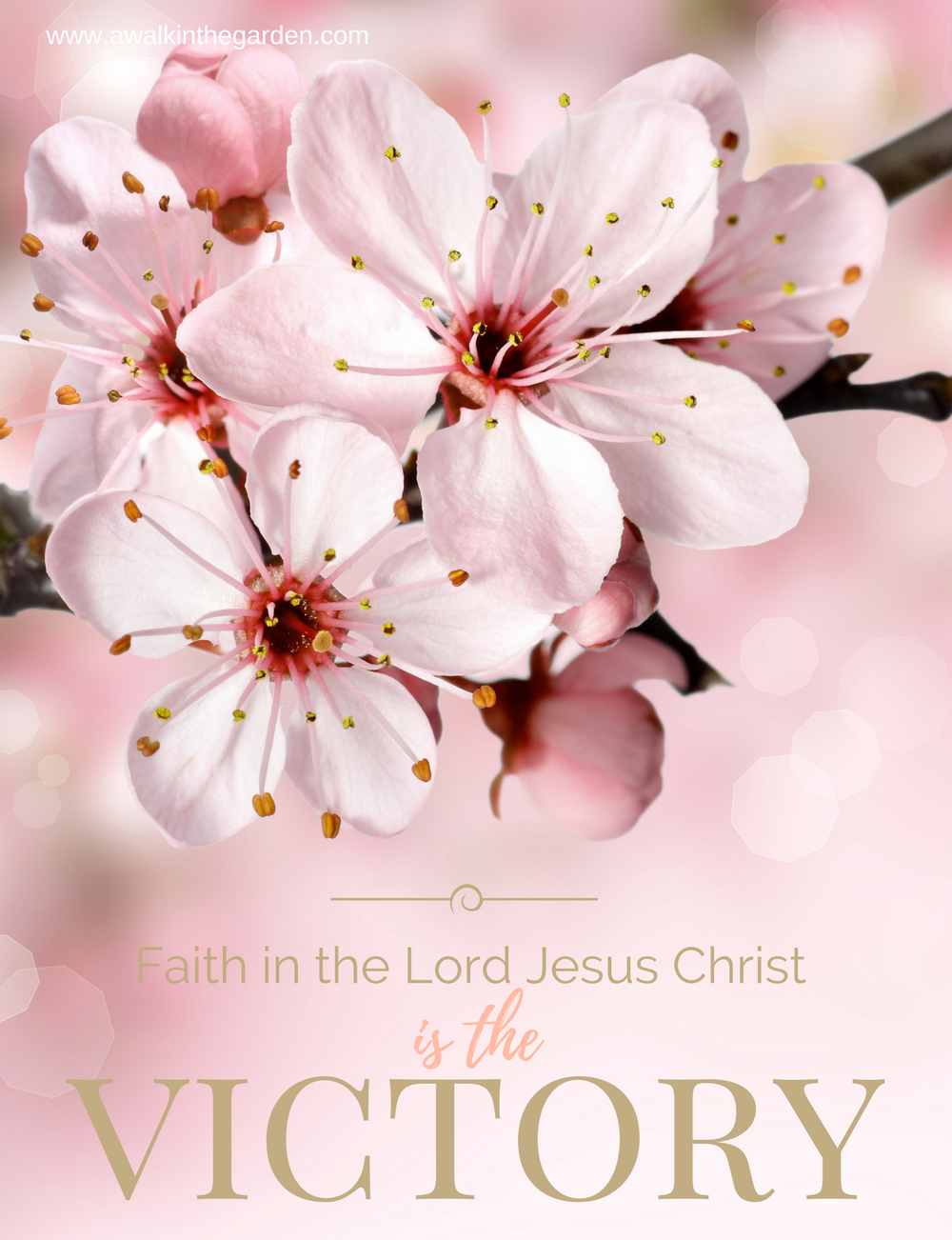 A Walk In The Garden: Faith in God: The Foundation for Victorious Living