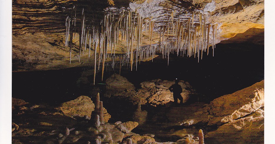 My UNESCO World Heritage Postcards: Australia - Australian Fossil ...