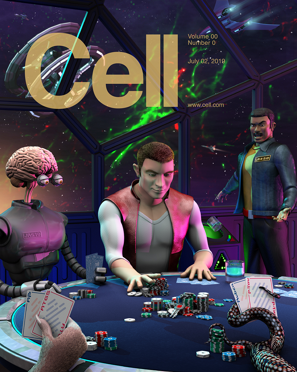 J.R.Stokes Illustrations