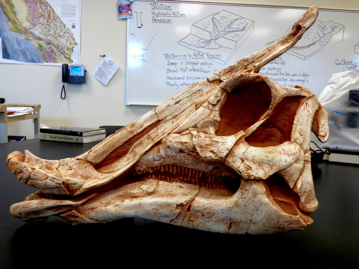 Geotripper: Oh no, it's Jar Jar Binks! No, It's Far More Special Than ...