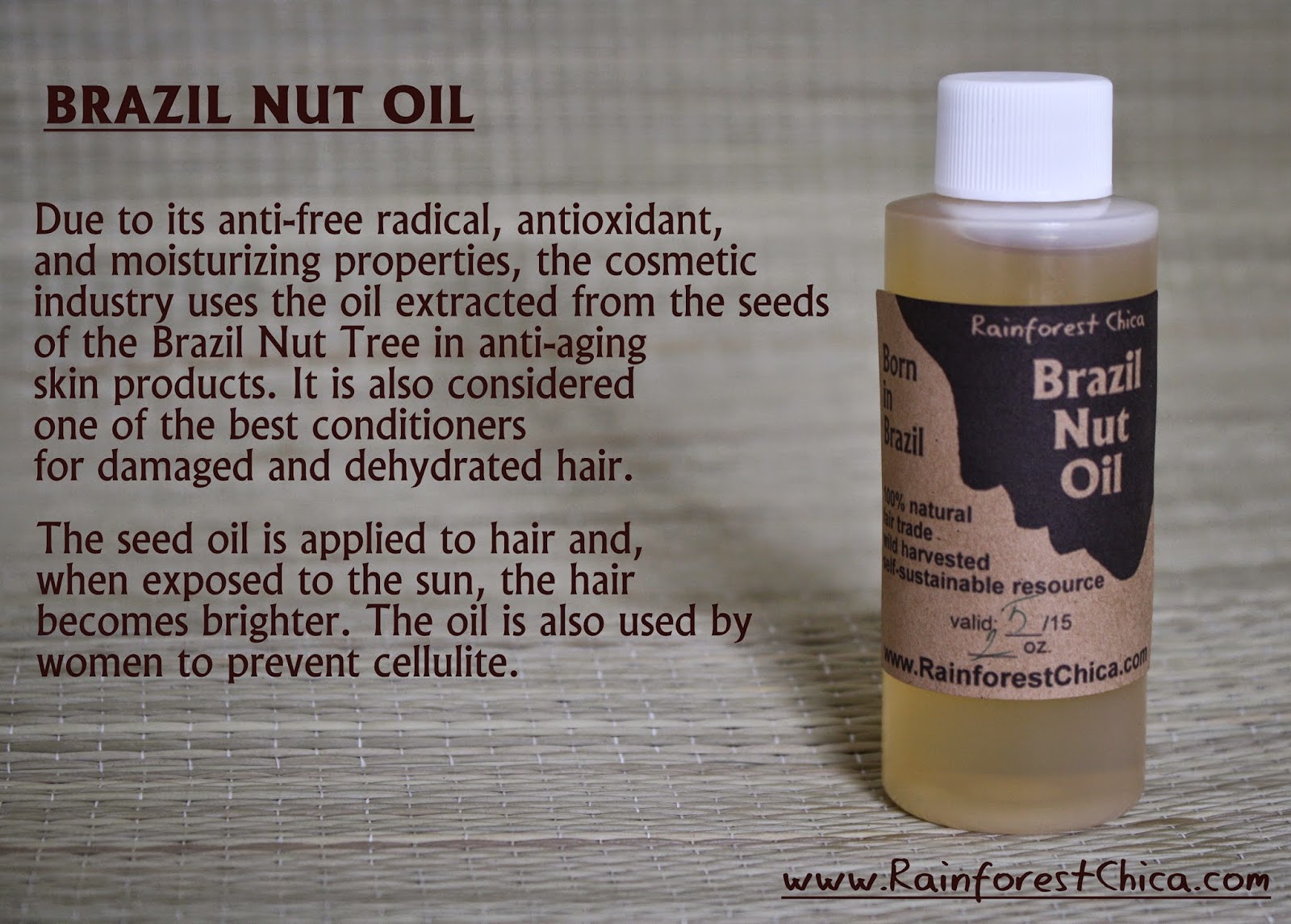 Rainforest Chica: Brazil Nut Oil - Benefits and Uses