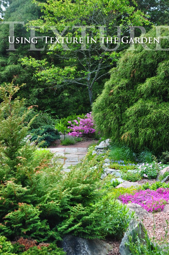 Three Dogs in a Garden: The Rock Garden, Part 3: Creative Ways to Use ...