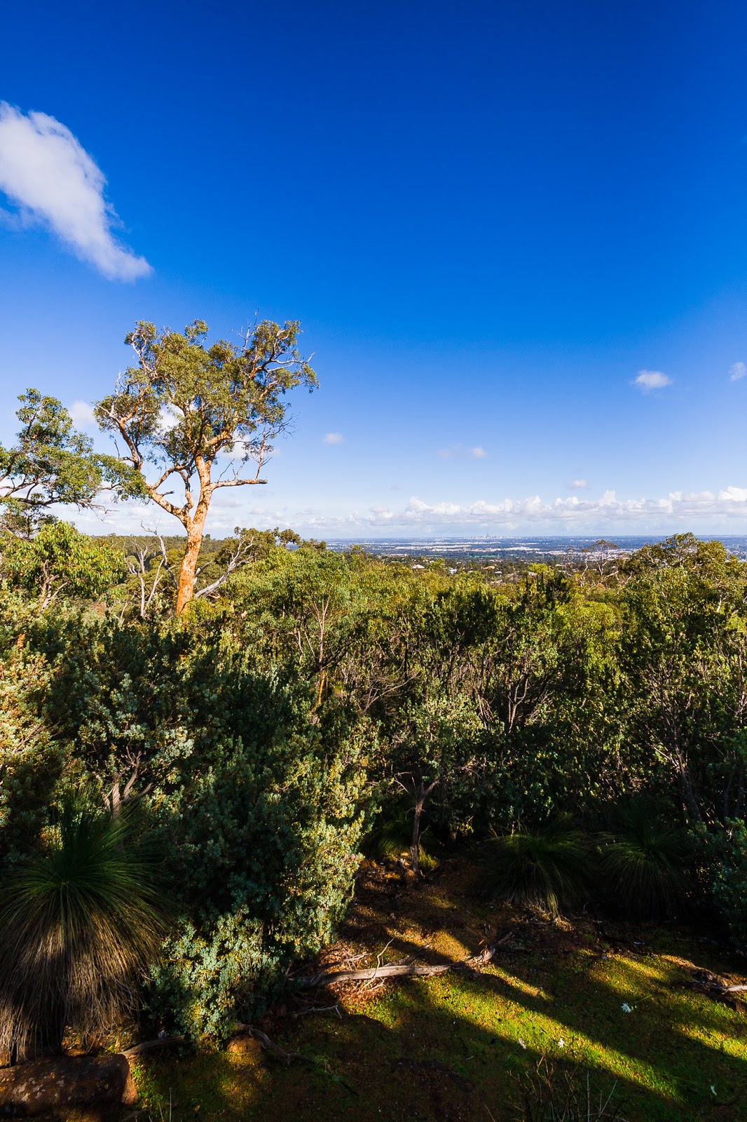 Random Lights Photography: John Forrest National Park