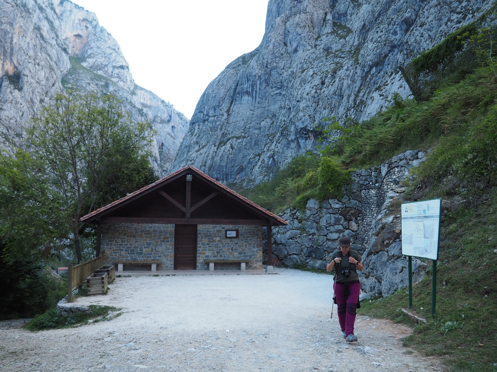 EL MOCHUELO CURIOSO: Ruta SUBIDA A BULNES - PICOS DE EUROPA.