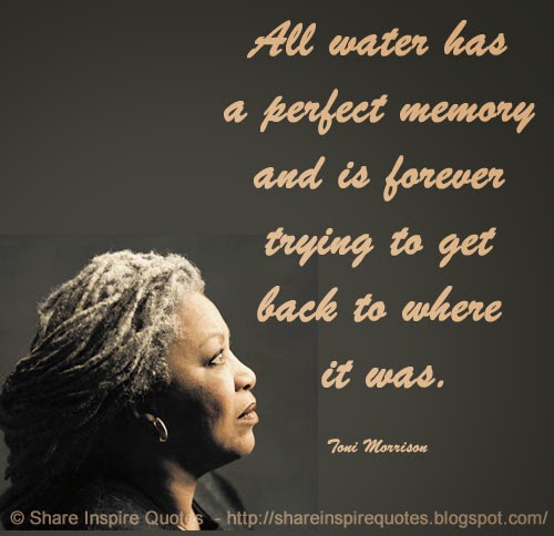 All water has a perfect memory and is forever trying to get back to ...