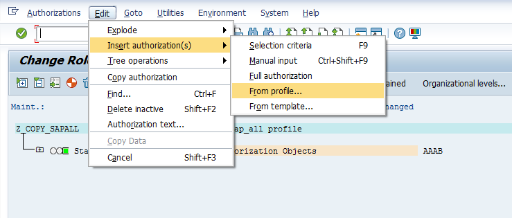 SAP_ALL profile without SPRO - SAP Basis Genie