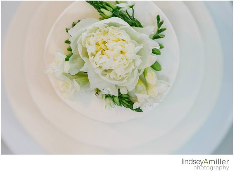 lindsey A miller photography: Wedding | Amelia and Bryan | The ...