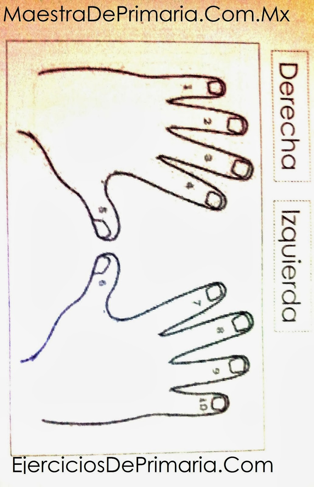 Ejercicios De Primaria: EJERCICIO DE PRIMARIA| DERECHA-IZQUIERDA