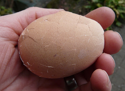 huis-tuin-en-keuken: C: Chinese craquelé eieren