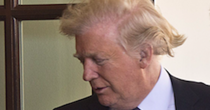 Paying Attention: Chrump’s Dumocracy