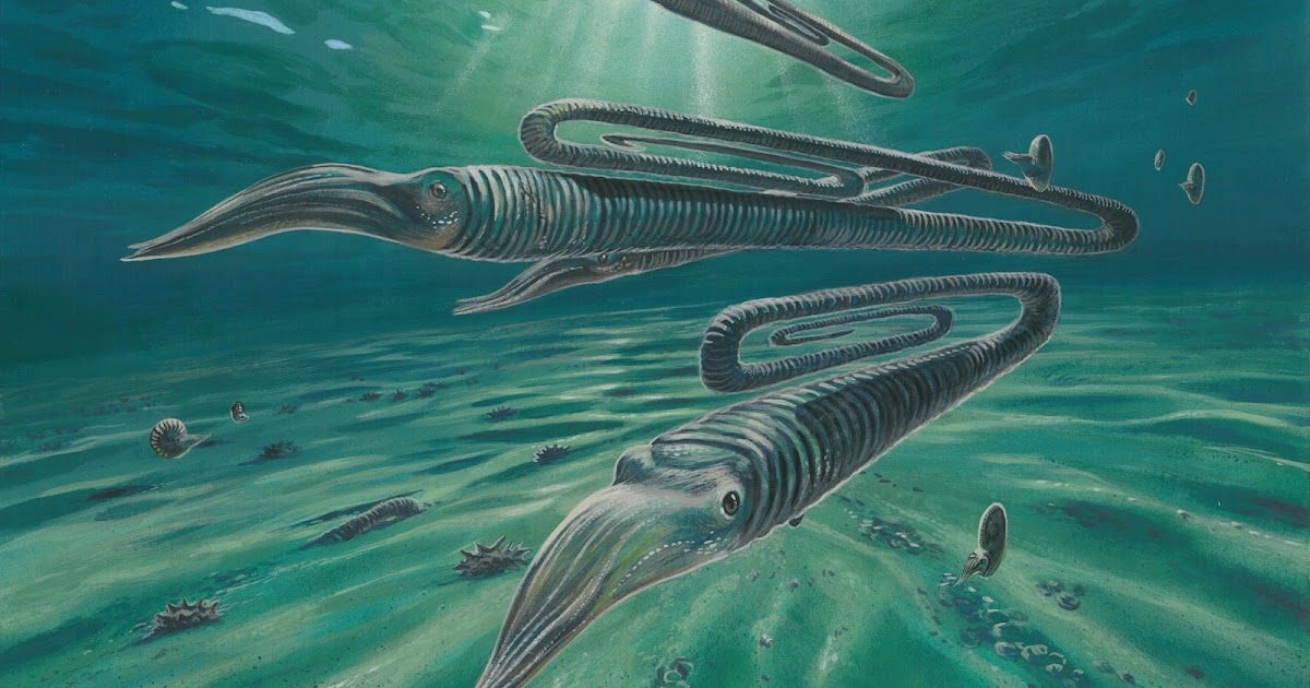 Species New to Science: [Paleontology • 2016] Macrofossil Evidence for ...