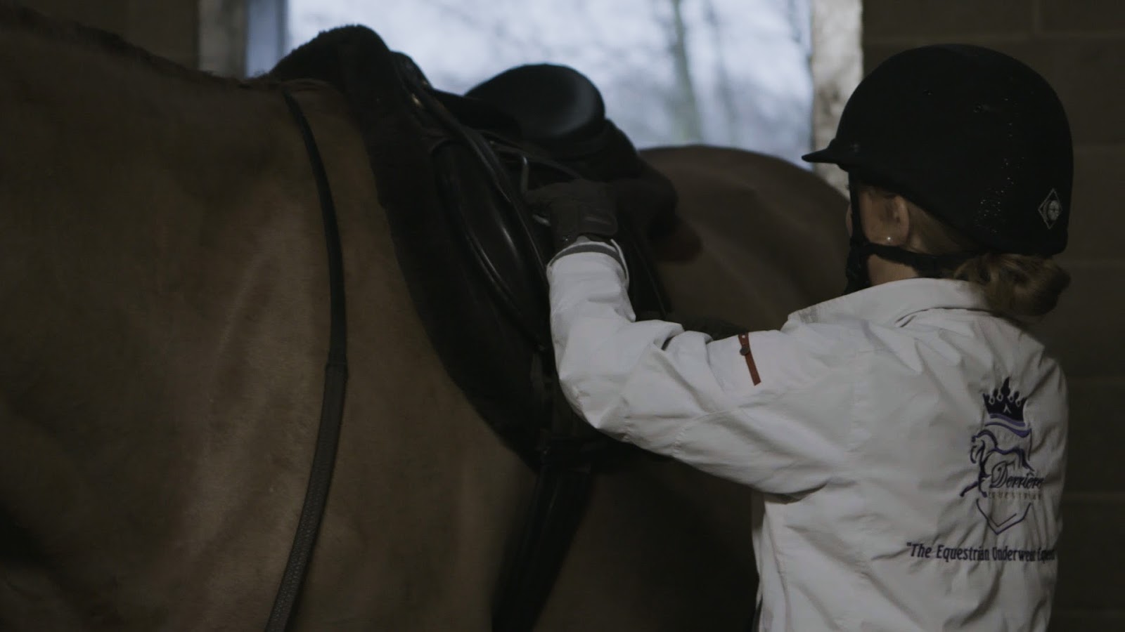 Derriere Equestrian: VIVE LA DIFFERENCE! British Equestrian Federation ...