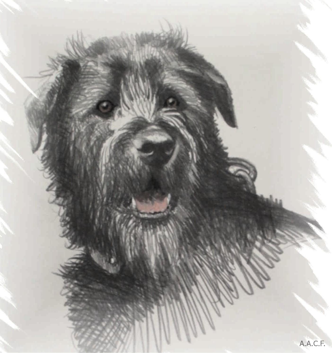 Quotidiano Honebu di Storia e Archeologia: La razza fonnese è stata ...