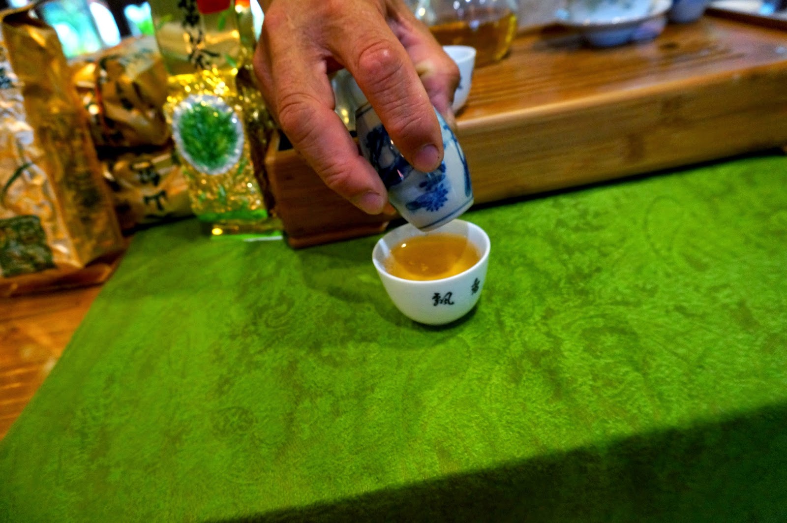 The Curious Lark: Taipei Zoo and The Maokong Gondola