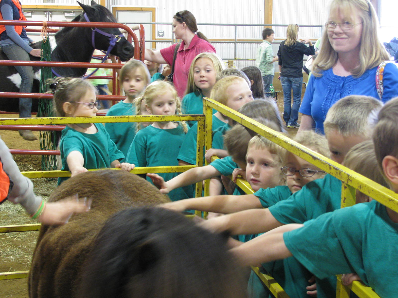 Mrs. Dougan's Kindergarten Class: Farm Friends