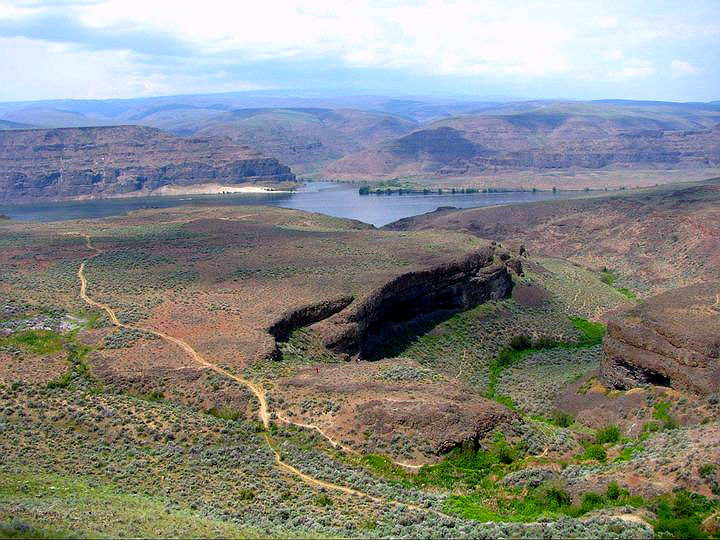 Faces of Nature: The Faces of Nature: An Introduction