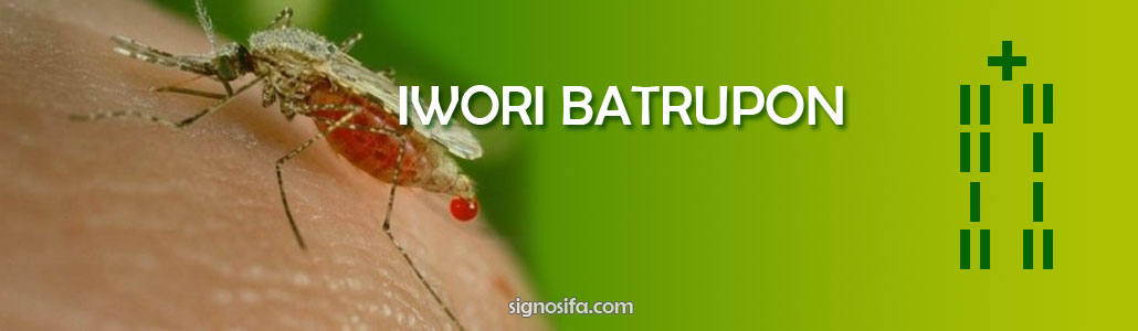 Iwori batrupon - Signos de Ifá