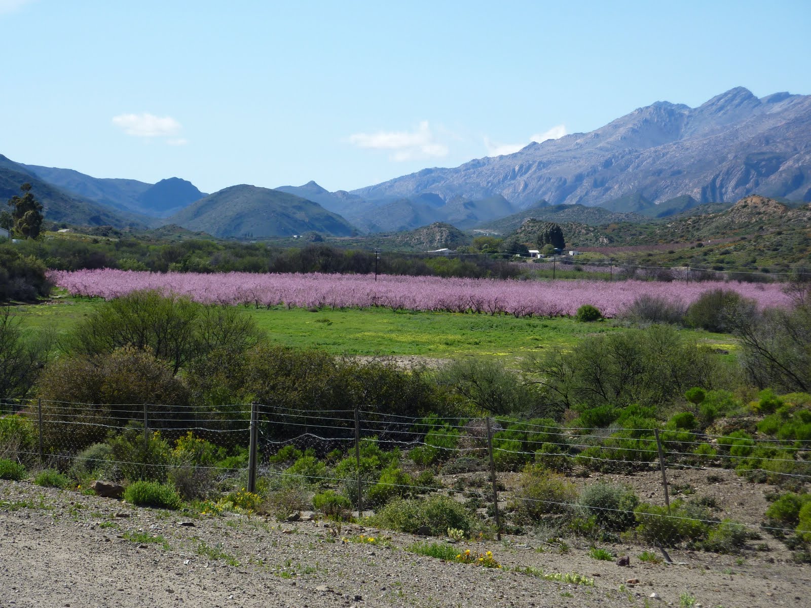 Doddle Diary 2: Day 2: Matjiesfontein to Prince Albert