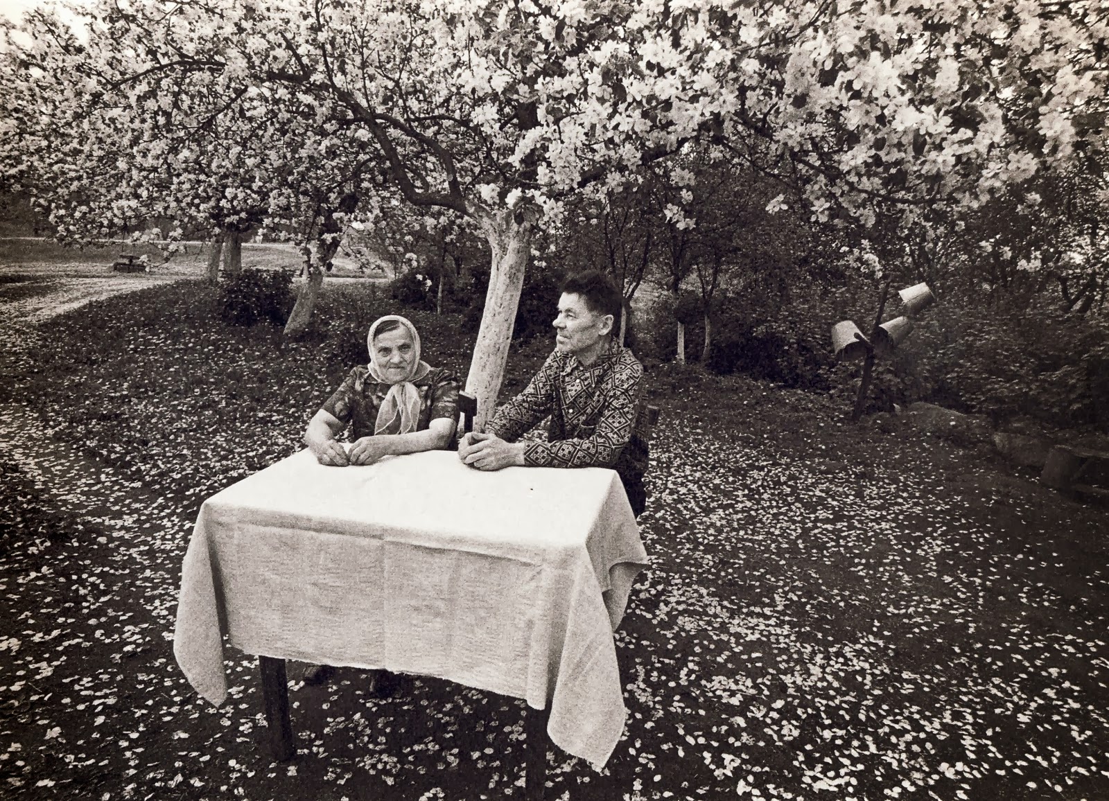 Lisa: Romualdas Rakauskas