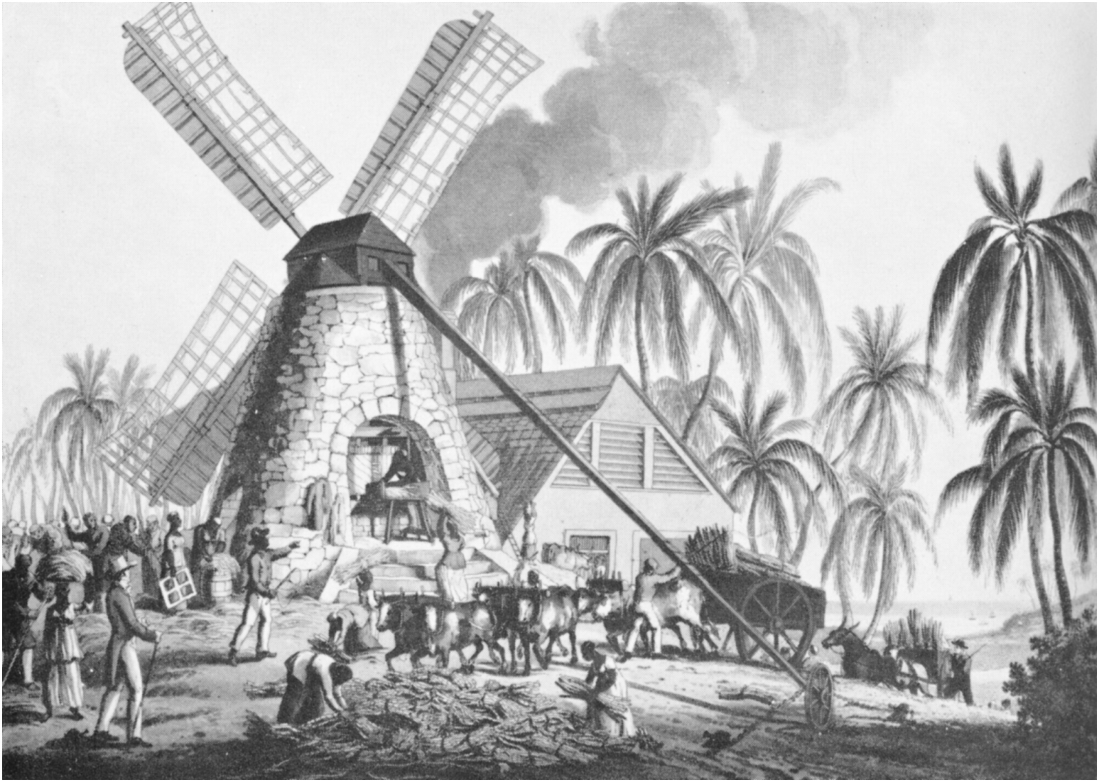 Latin America & the Caribbean - 548: July 2014