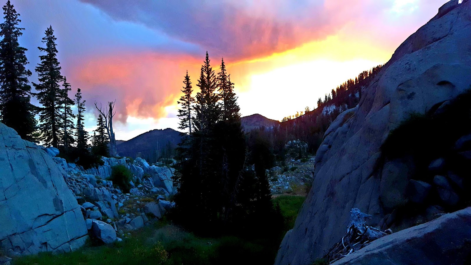 Jade Mangus Photography and Visual Art