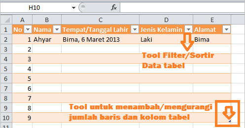 Cara Membuat Tabel Warna Otomatis Dalam Excel