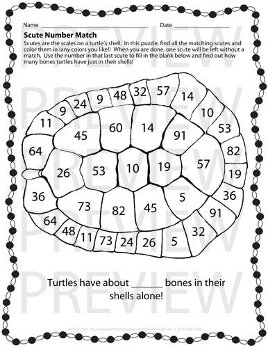 The Puzzle Den: Turtle Puzzles Preview