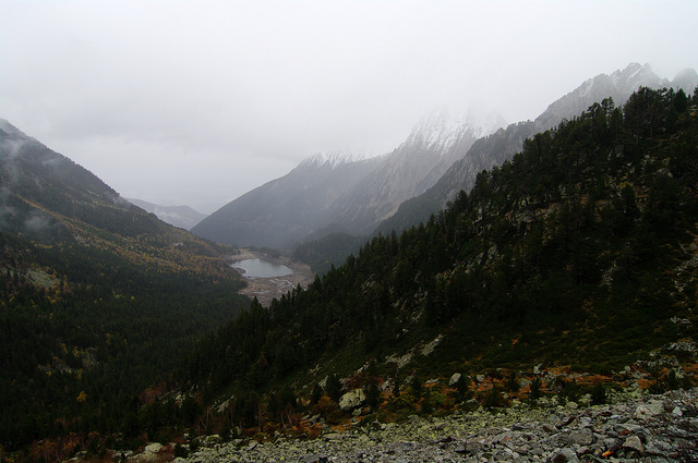 Espacios Naturales del Mundo: PARQUE NATURAL REGIONAL DE LOS VOSGOS DEL ...