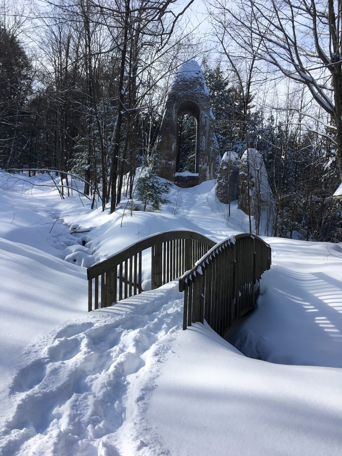 Skiglisse: Le sommet du mont Rigaud